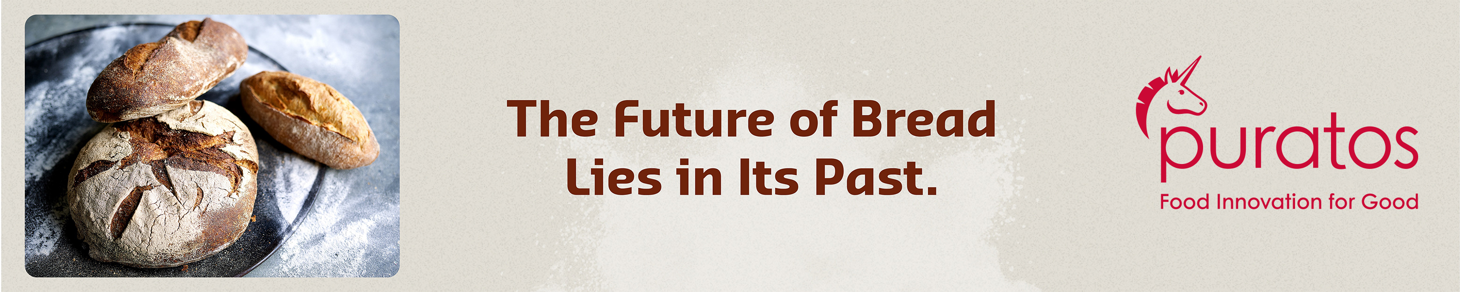 Amazon.com: Puratos: Bread Improvers