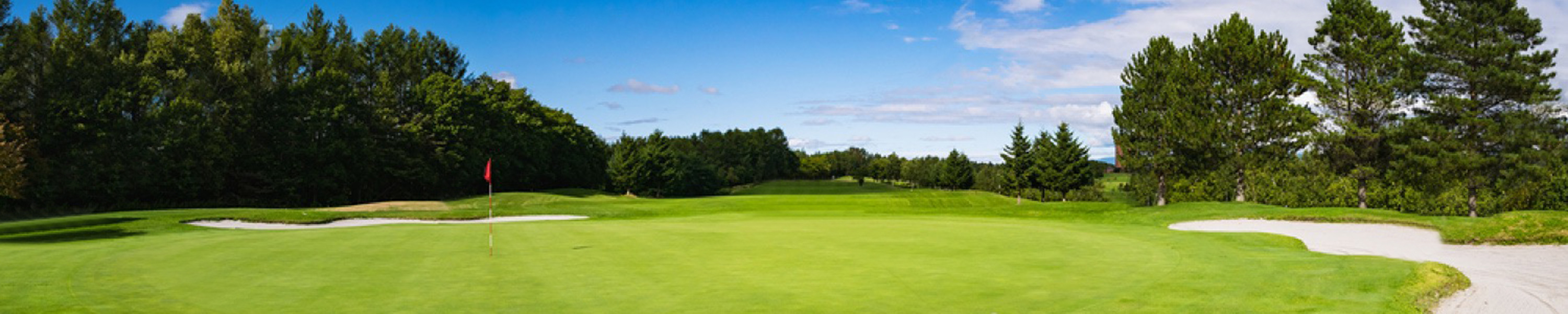 Amazon.com: Champkey: GOLF BAGS