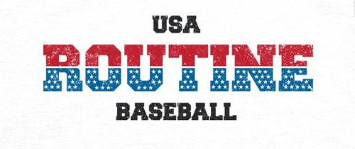 Amazon.com: Routine Baseball: Shirts