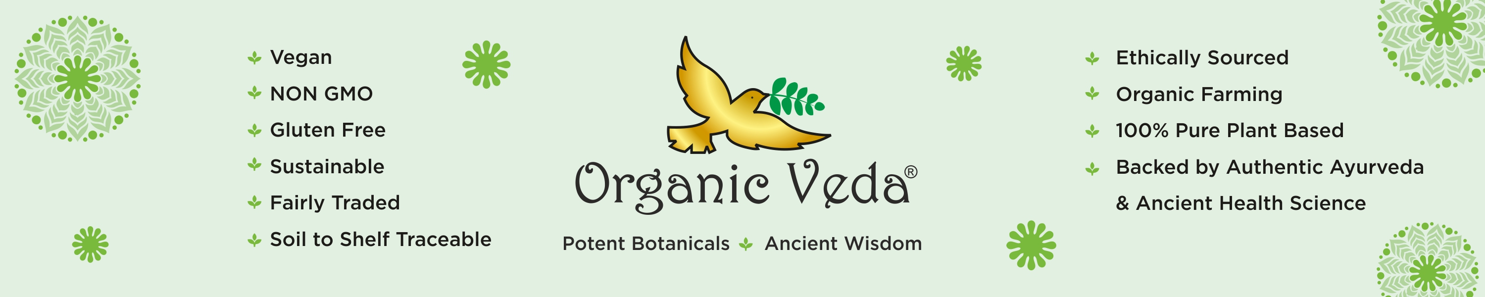 Amazon.com: Organic Veda