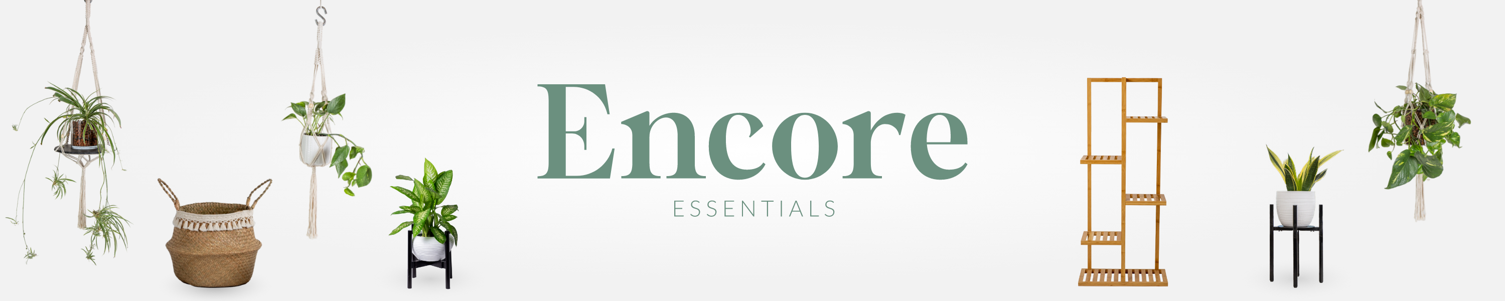 Amazon.com: Encore Essentials