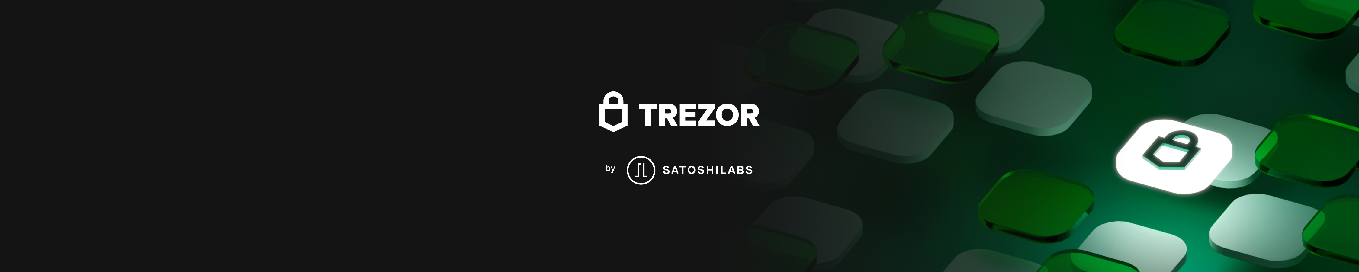 Amazon.com: Trezor Model T