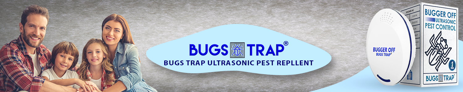 Amazon.com: BUGS TRAP