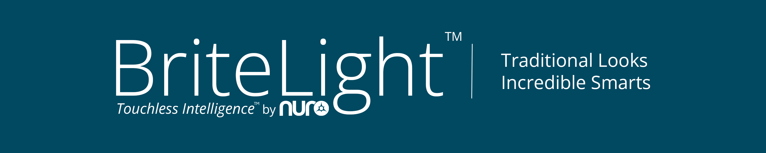 Amazon.com: BriteLight