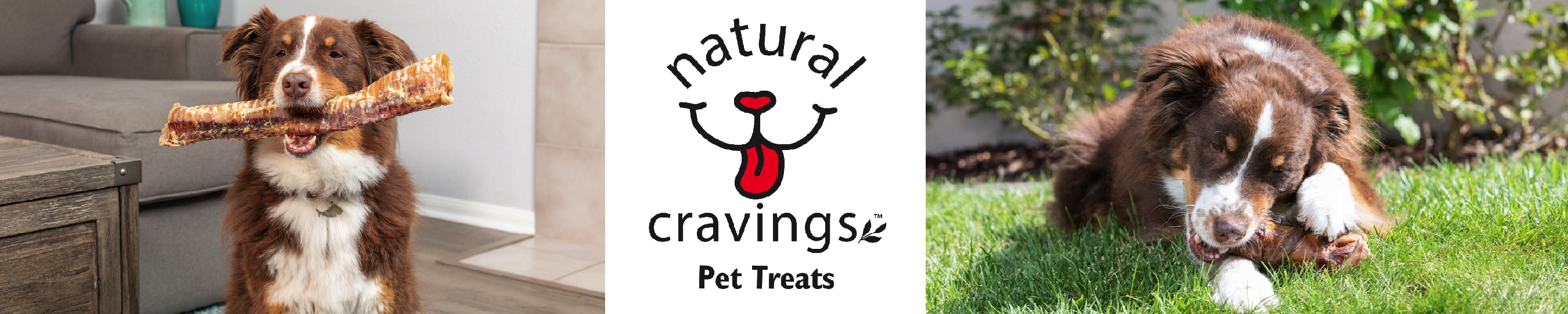 Amazon.com: Natural Cravings