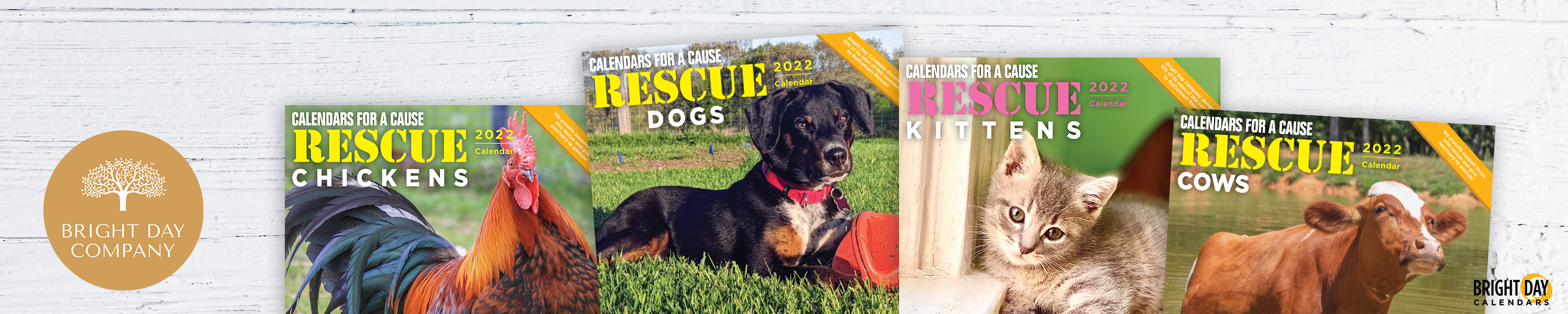 Amazon.com: Bright Day Calendars: Calendars for a Cause