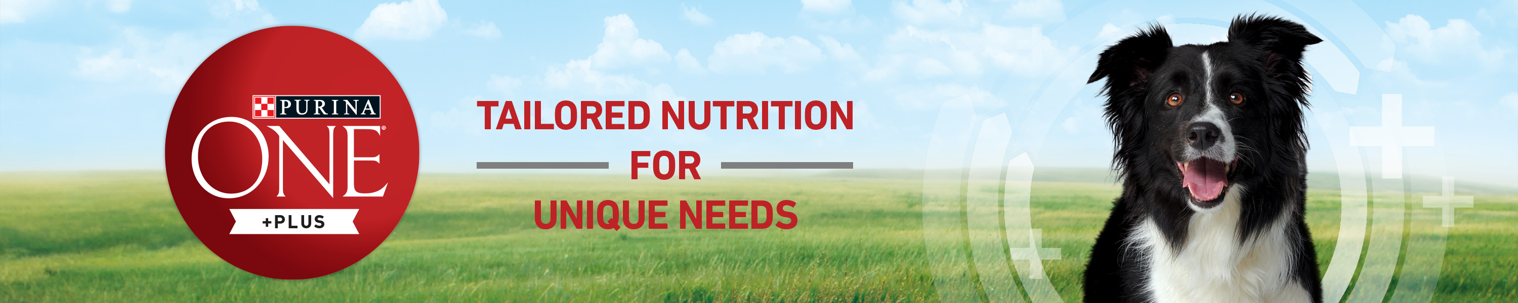 Amazon.com: Purina ONE: Dog Food