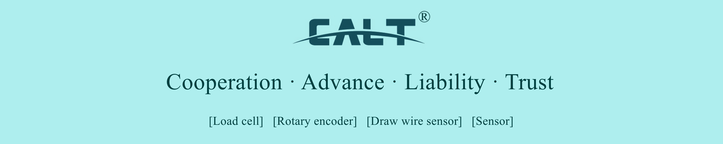Amazon.com: CALT: Load Cells