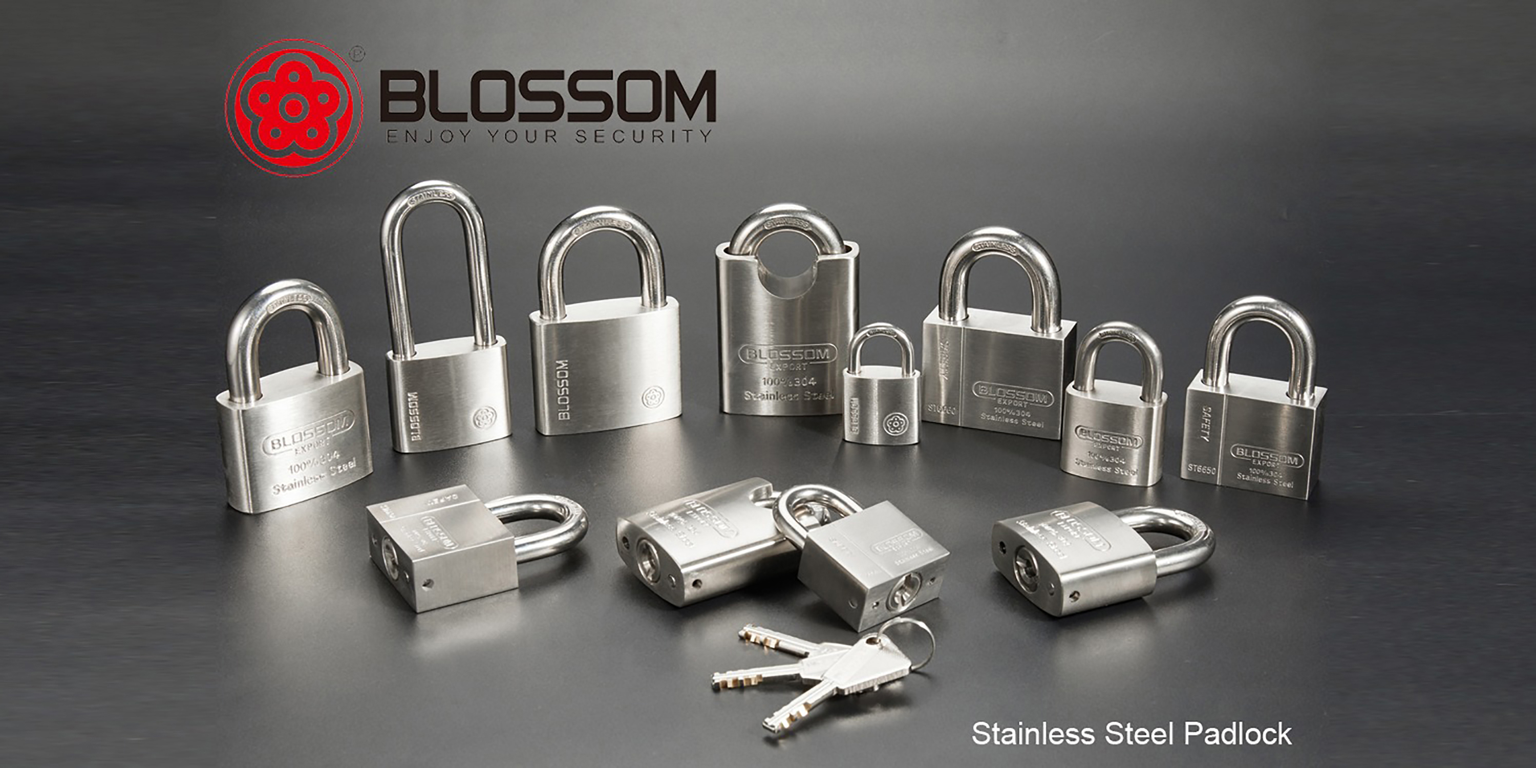 Amazon.com: BLOSSOM: Combination Locks