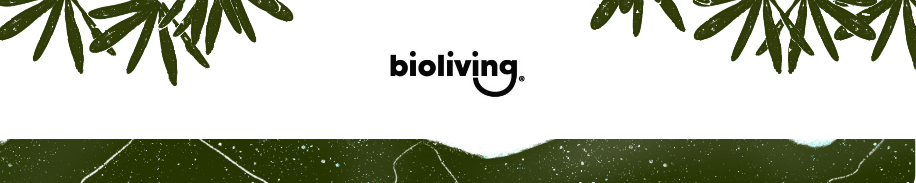 Amazon.com.mx: Bioliving