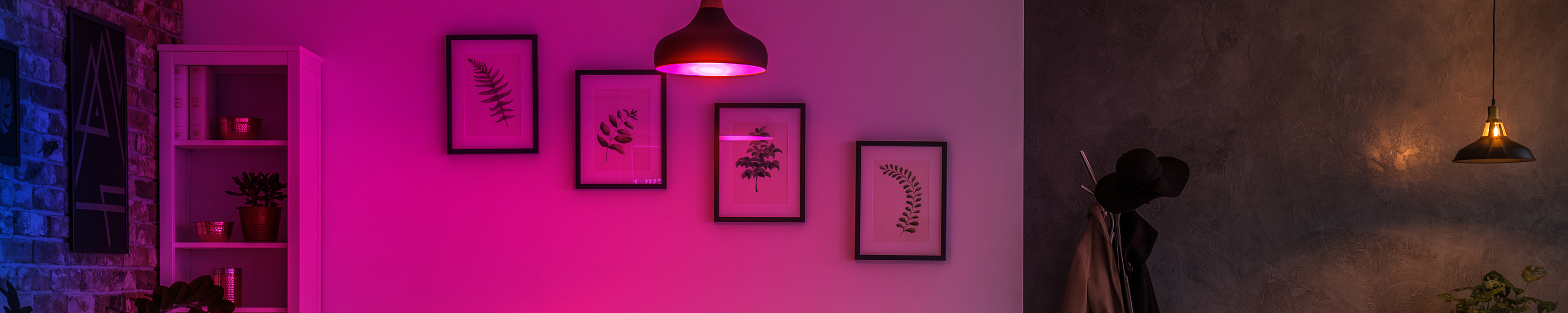 Amazon.ca: Gosund: SMART BULB