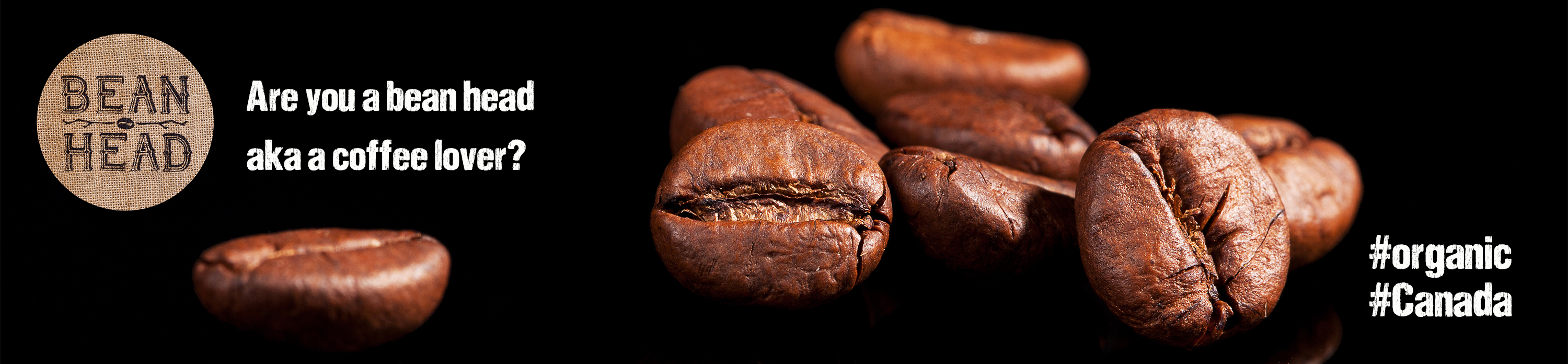 Amazon.ca: BEAN HEAD Organic Coffee