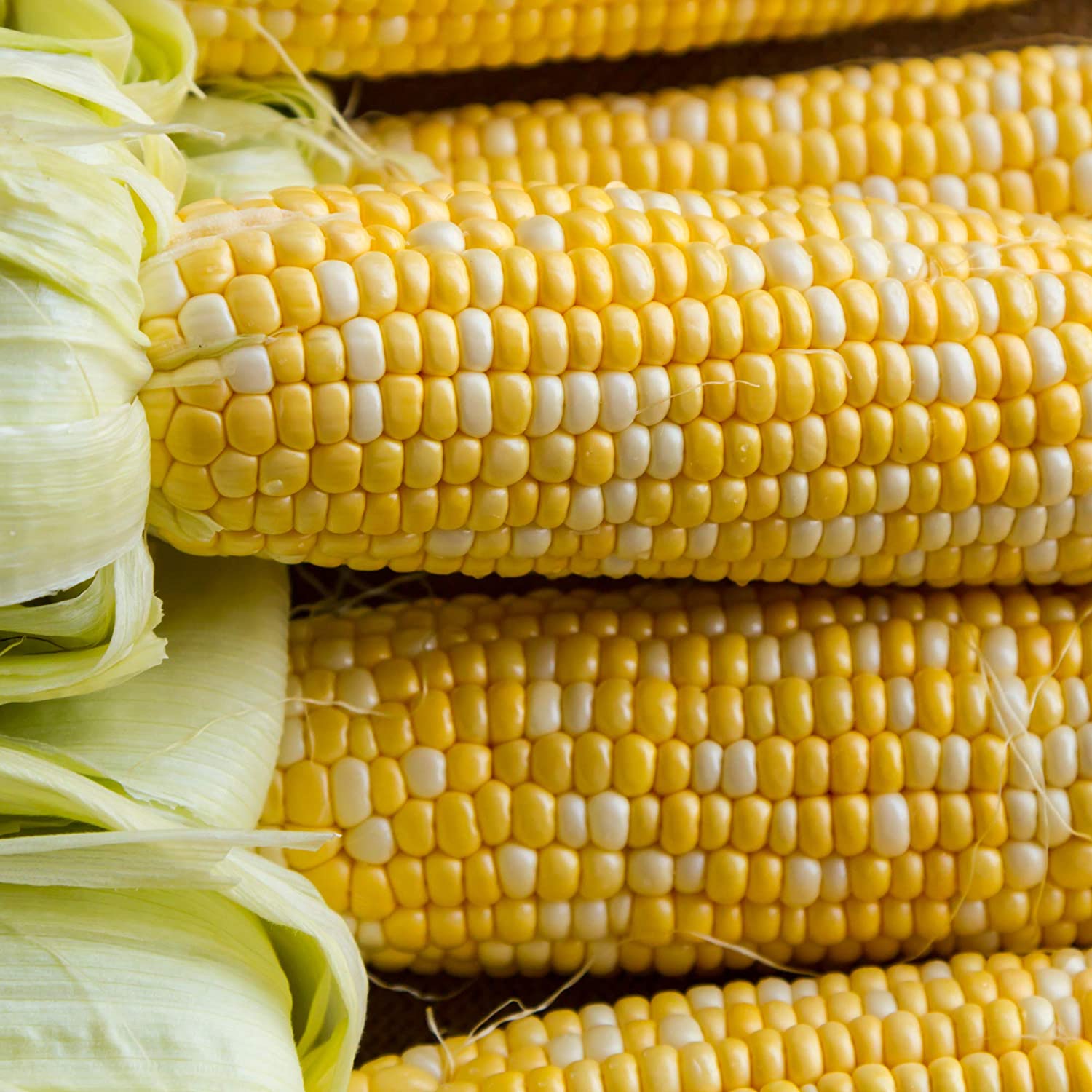 Amazon.com: David's Garden Seeds: Corn