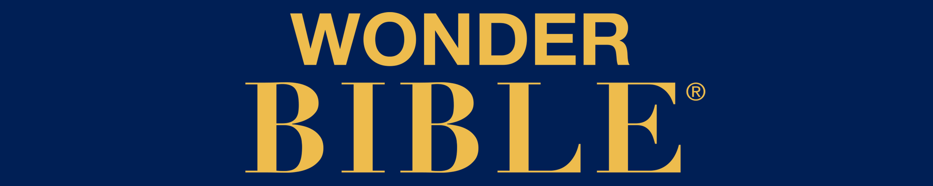 Amazon.com: Wonder Bible