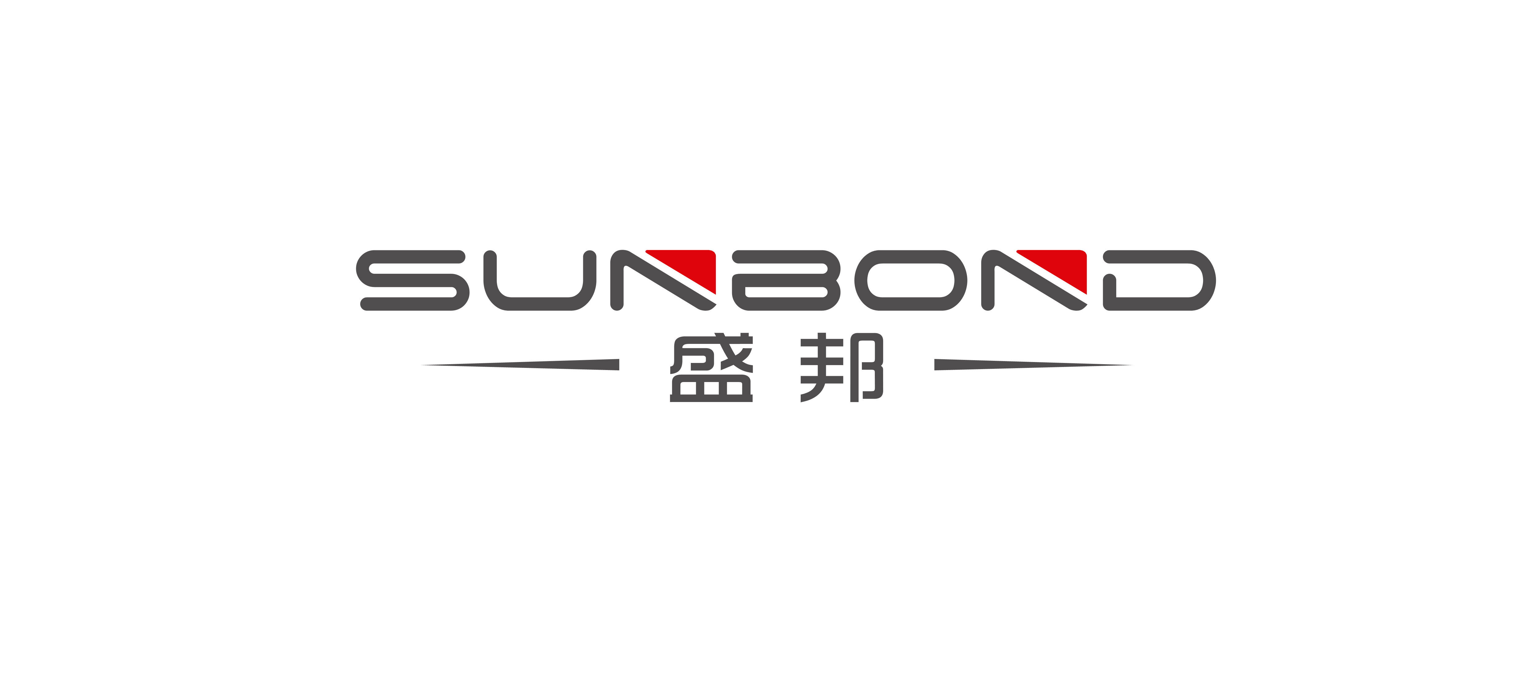 Amazon.com: Sunbond: Ebike Battery