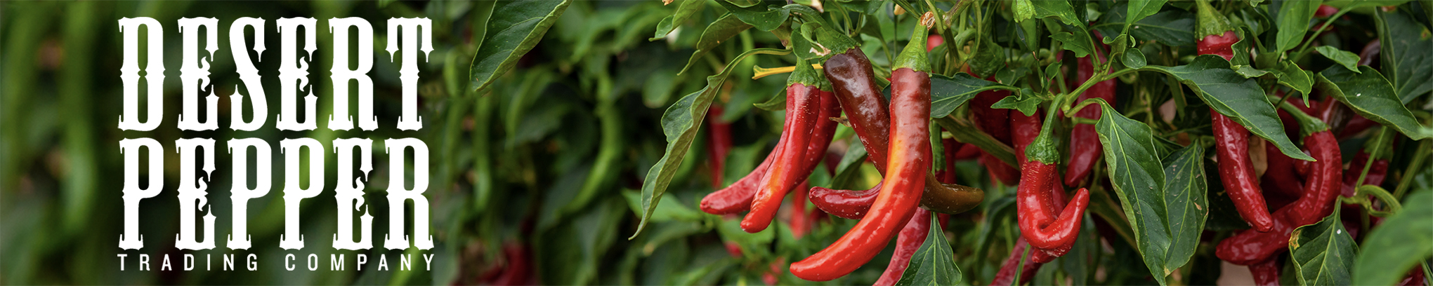 Amazon.com: Desert Pepper Trading Company