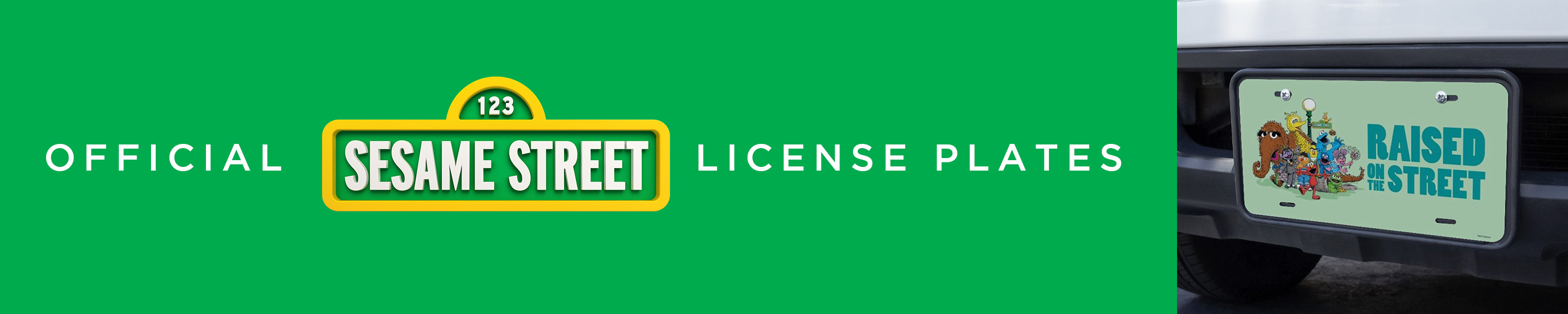 Amazon.com: Graphics and More: License Plates