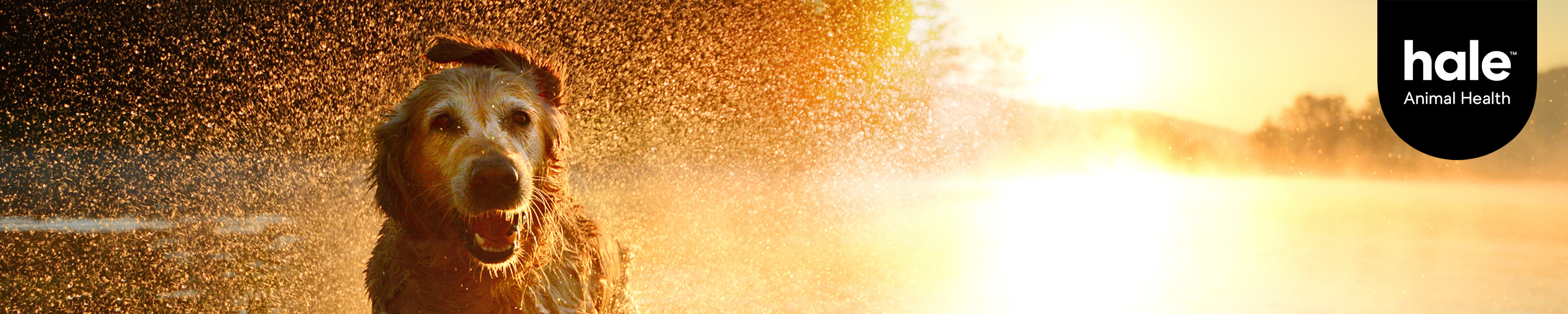 Amazon.com: Hale Animal Health