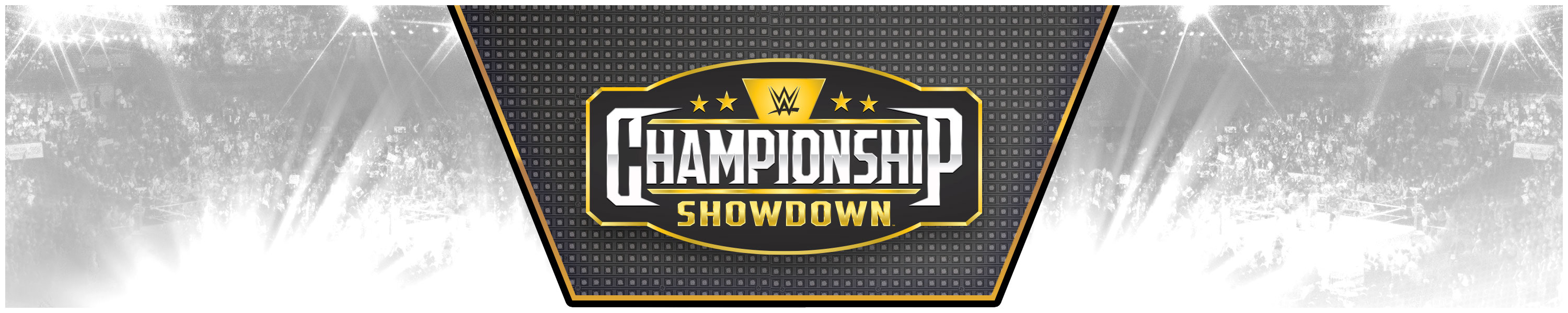 Amazon.com: WWE: 2 PACKS