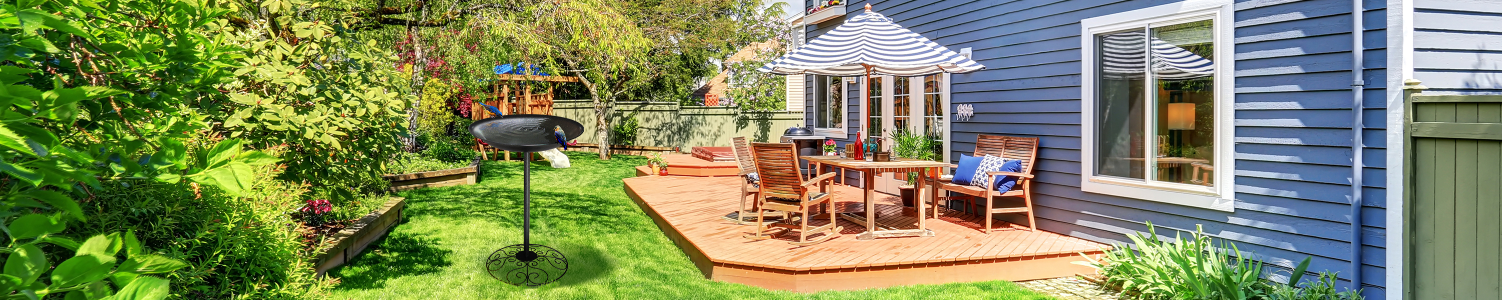 Amazon.com: BIRD WISH