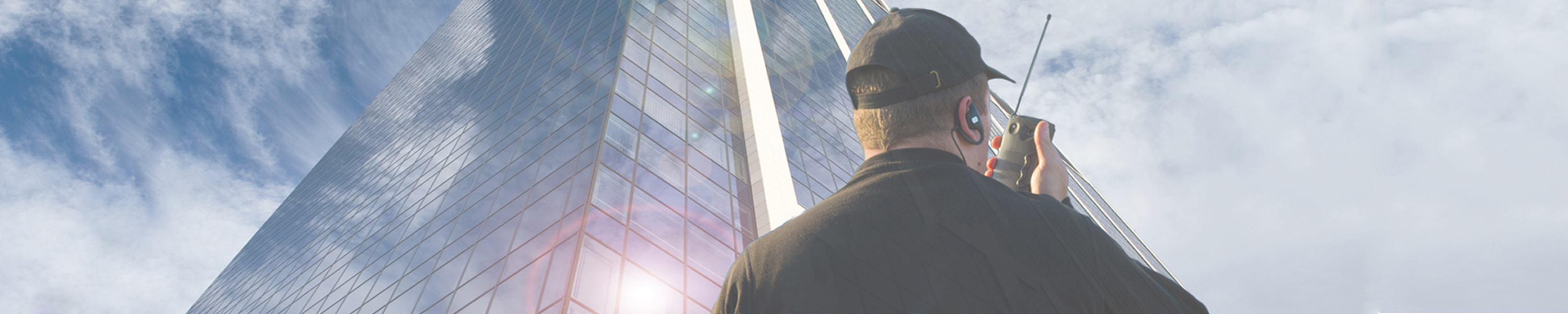 Amazon.com: LSENG: Radio Antenna