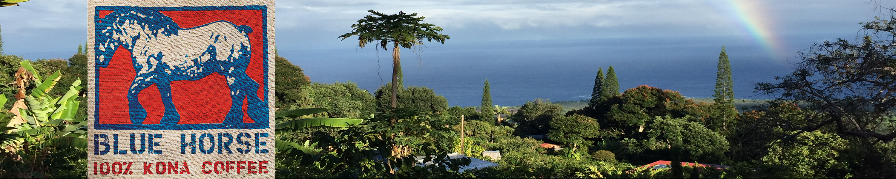 Amazon.com: Blue Horse Kona Coffee: SHOP at our Farm Store