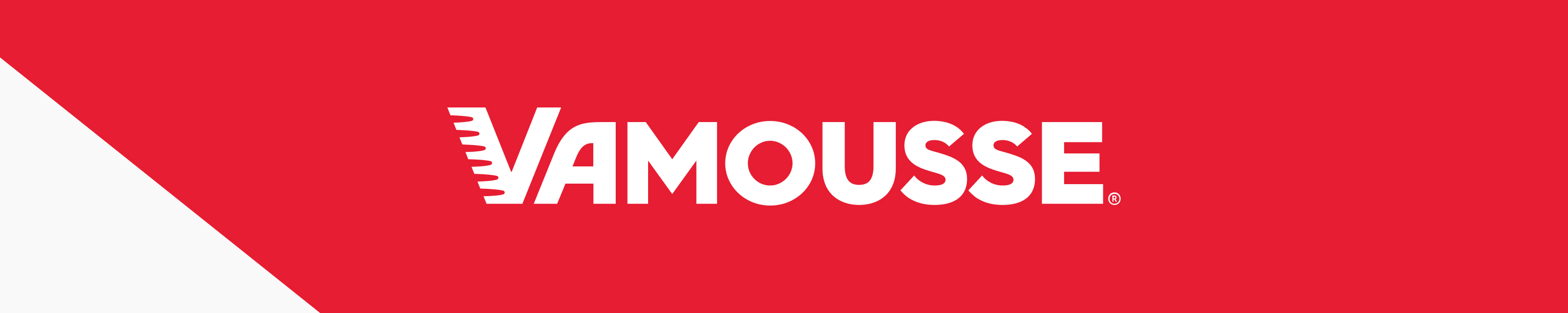 Amazon.com: Vamousse: TREAT