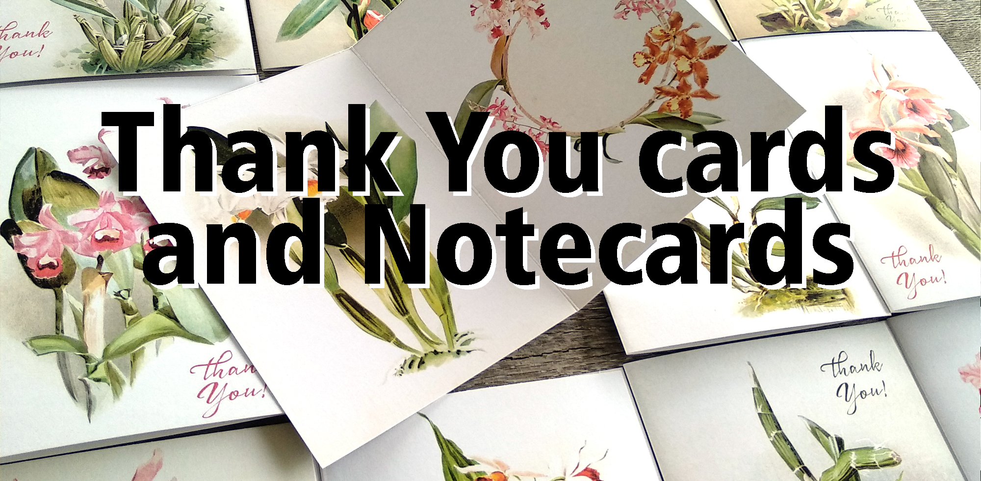 Amazon.com: PIXILUV: Notecards