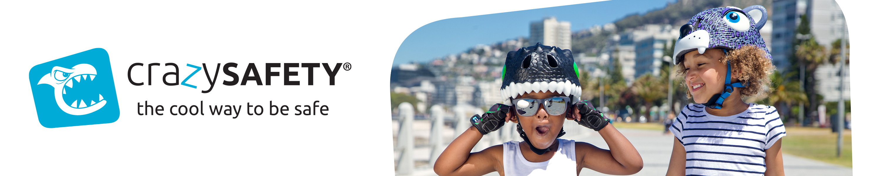 Amazon.com: Crazy Safety: Dinosaur