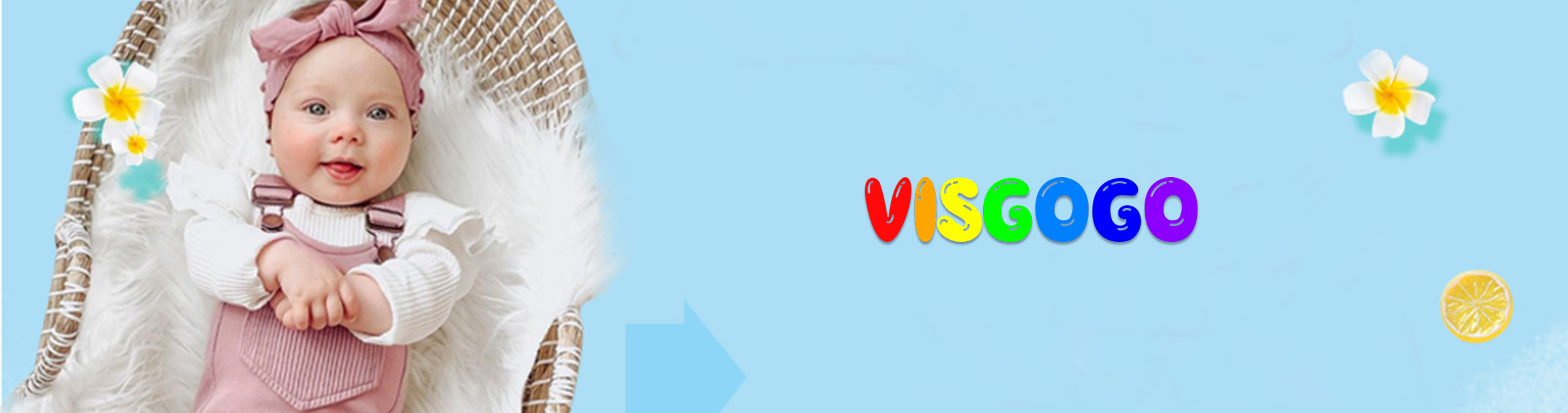 Amazon.com: VISGOGO