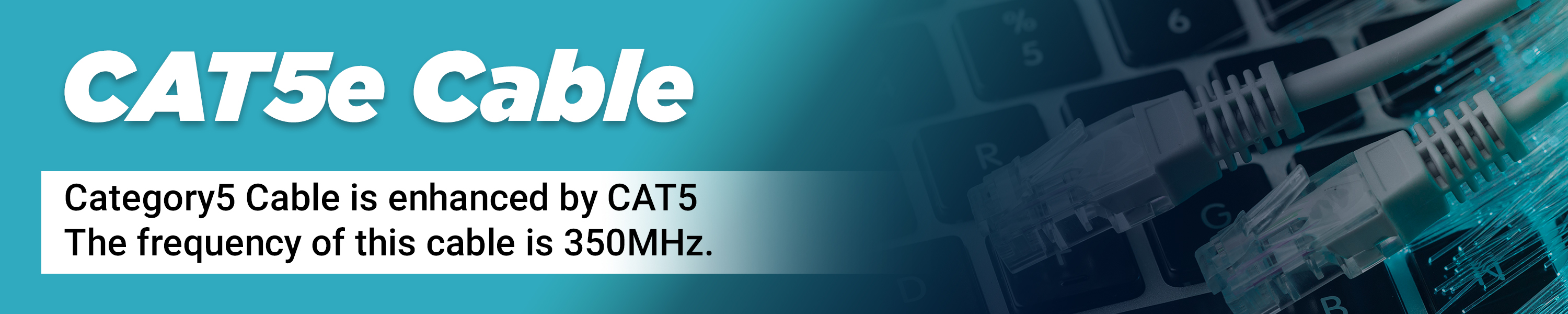 Amazon.com: NewYork Cables: Cat5e