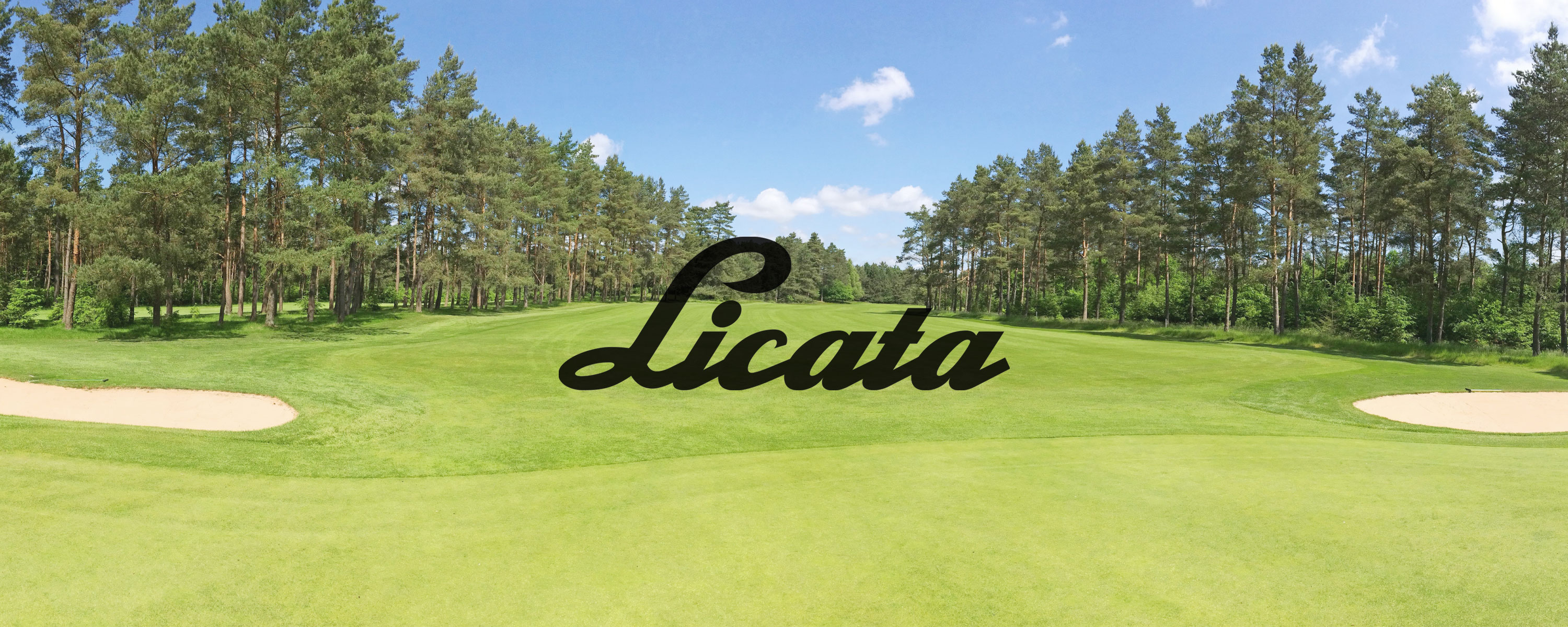 Amazon.com: Licata: Sports Accessories