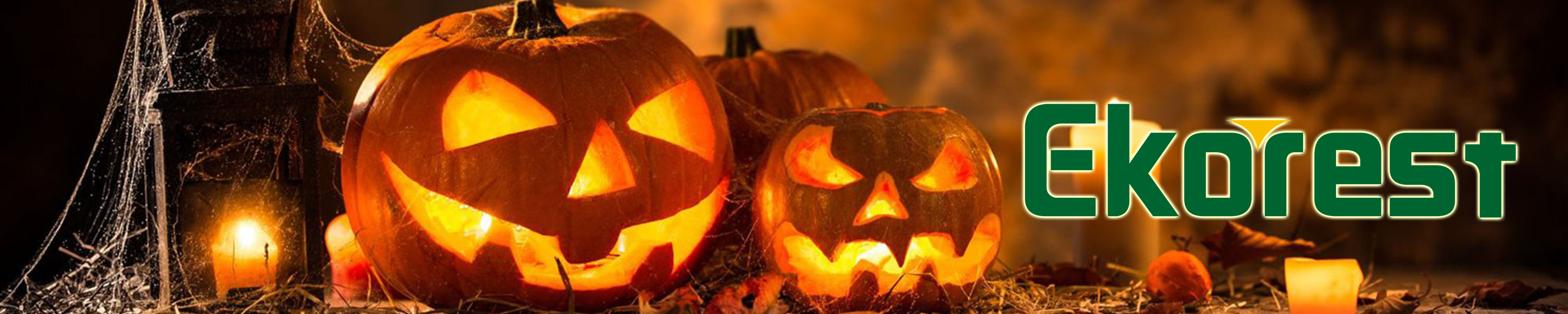Amazon.com.br: EKOREST: Halloween Flag
