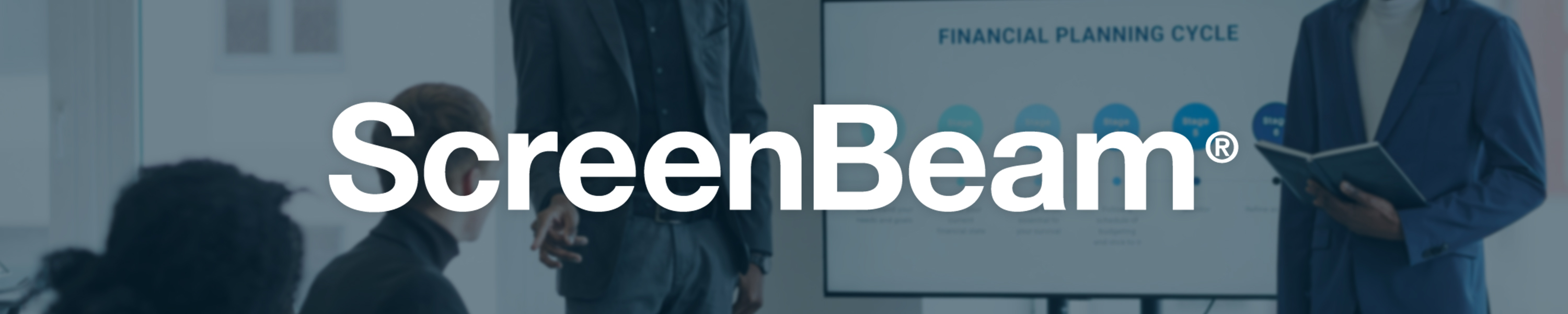 Amazon.com: ScreenBeam: SCREENBEAM 960
