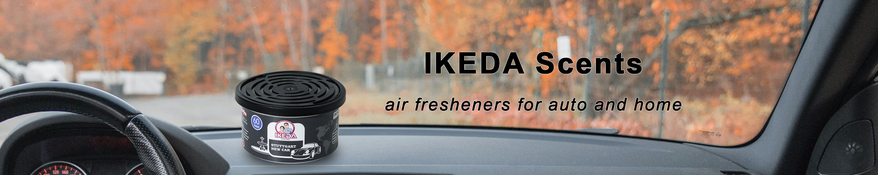 Amazon.com: Ikeda Scents : liquid cans car air fresheners