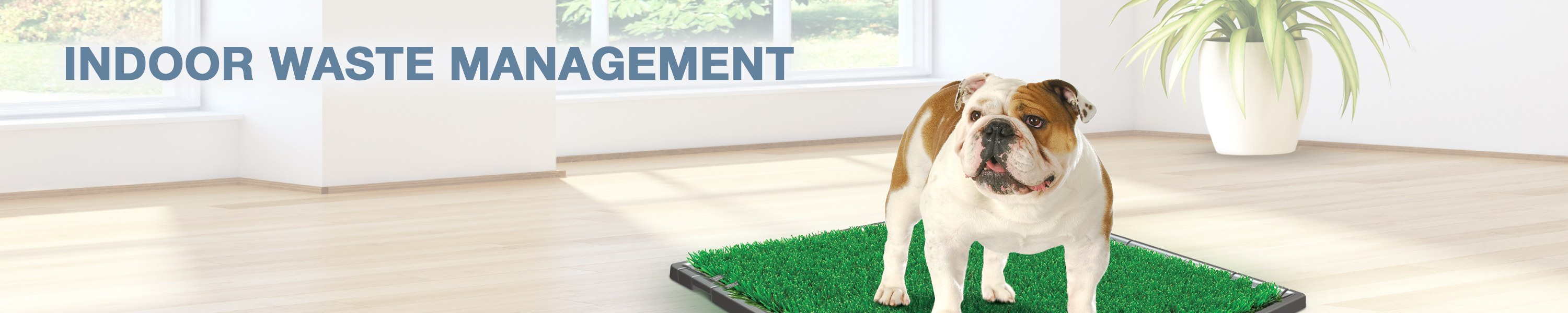 Amazon.com: Four Paws: Indoor Solutions