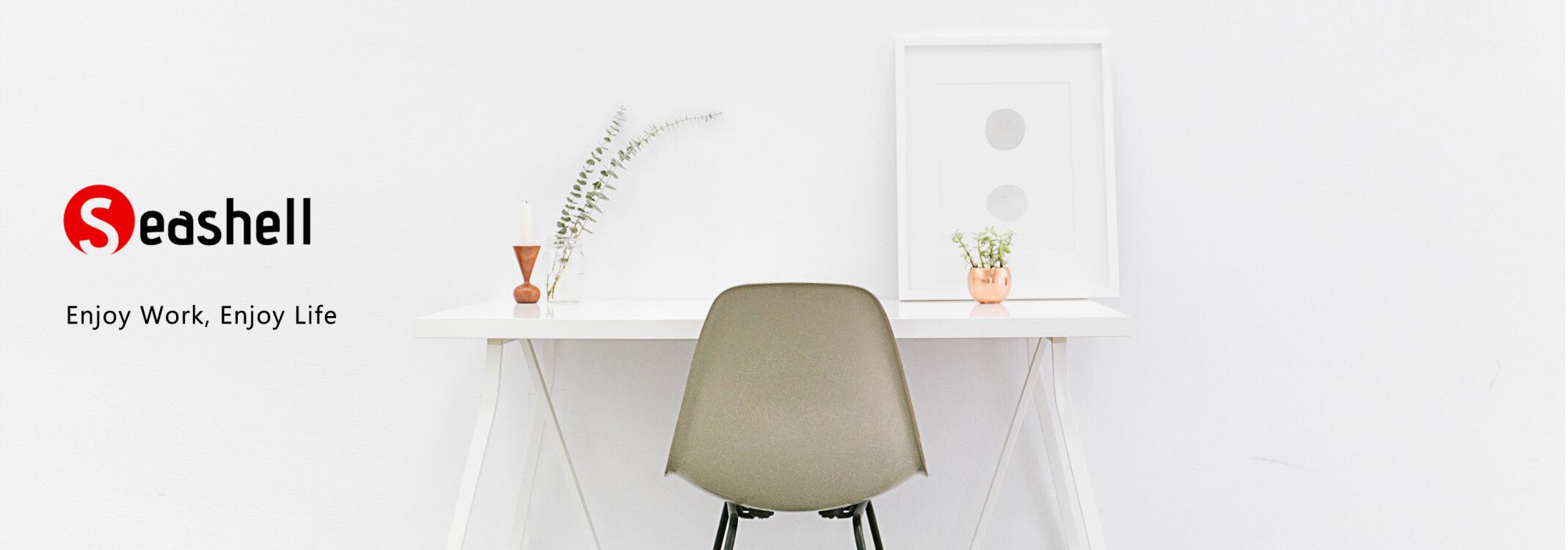 Amazon.com: Seashell: File Folder