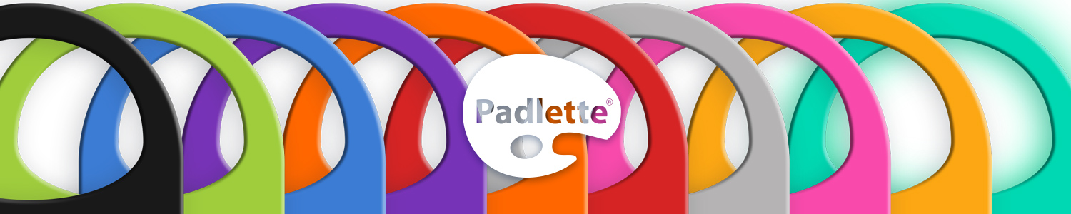 Amazon.com: padlette: MIDSIZE