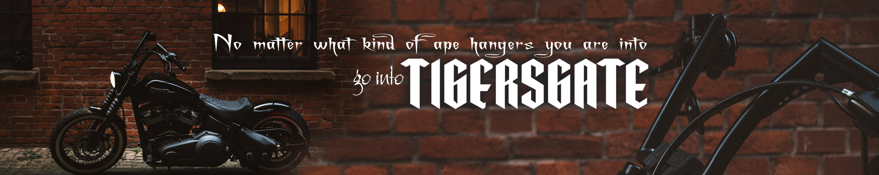 Amazon.com: TIGERSGATE