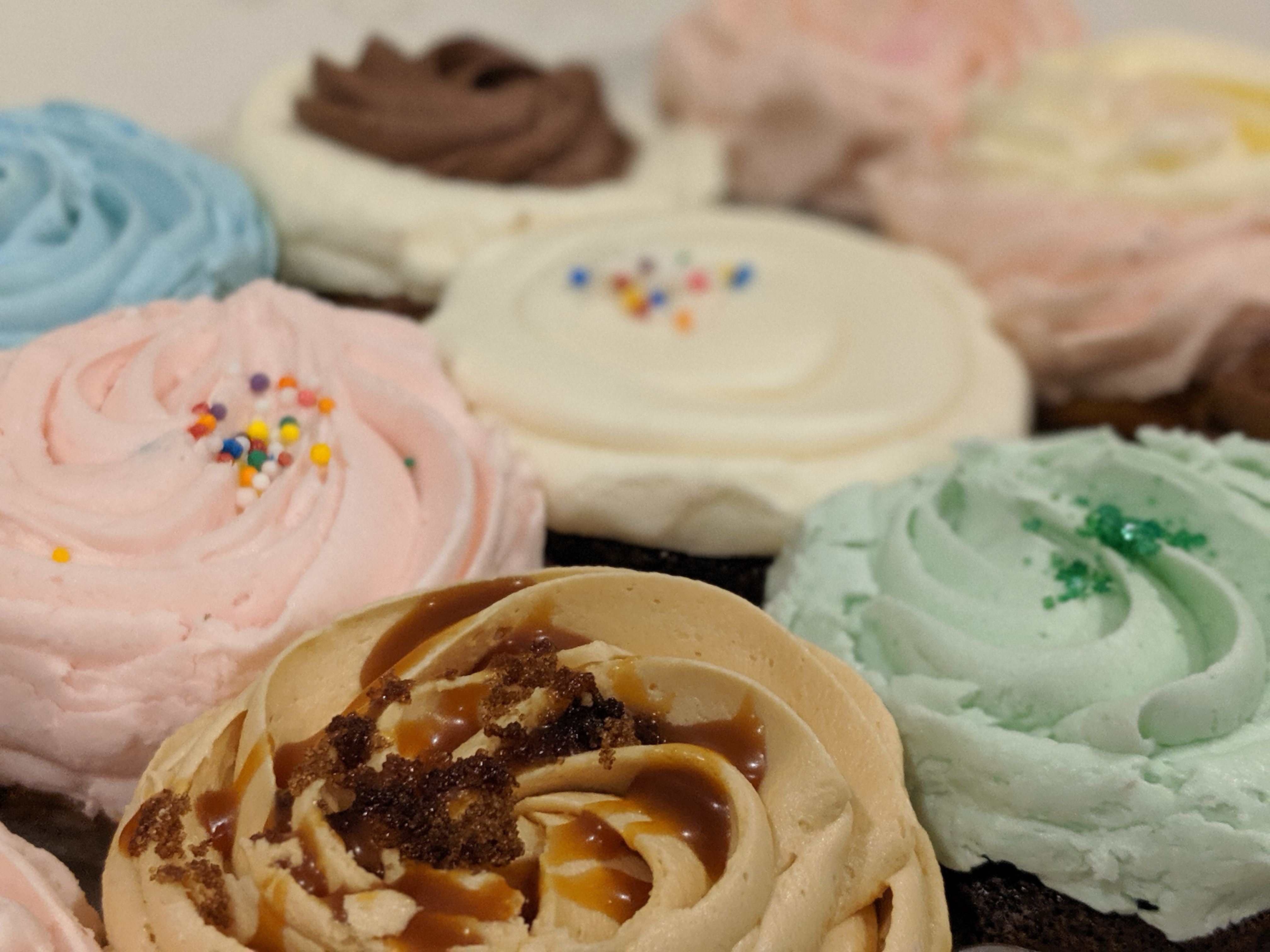 Amazon.com: Jubee Cupcake Holder Container