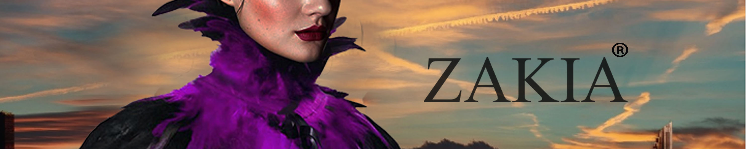 Amazon.com: ZAKIA: Feather Costume