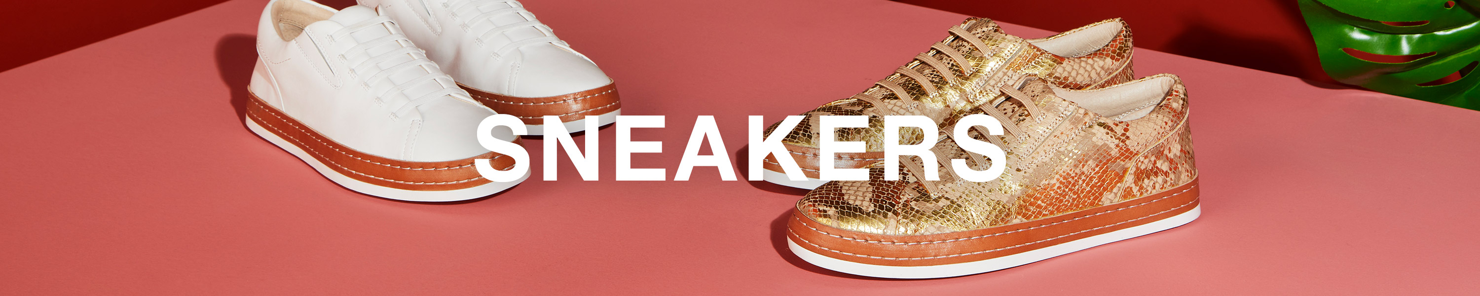 Amazon.com: CC CORSO COMO: SNEAKERS