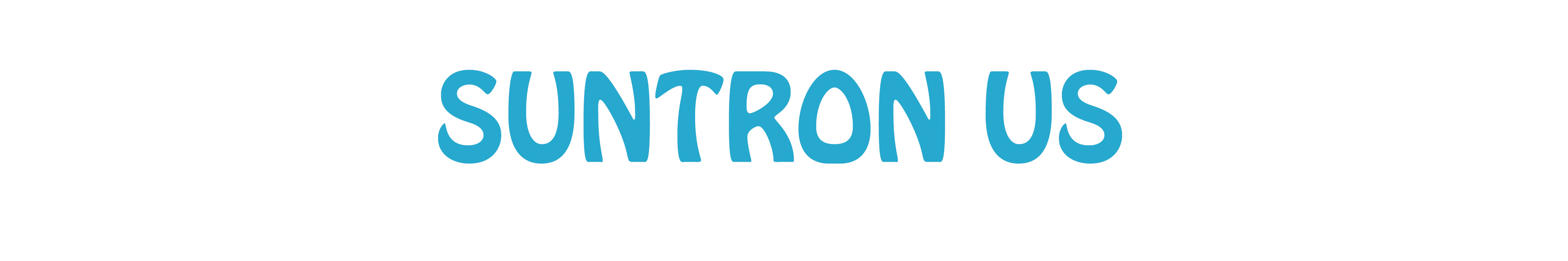 Amazon.com: SUNTRON US