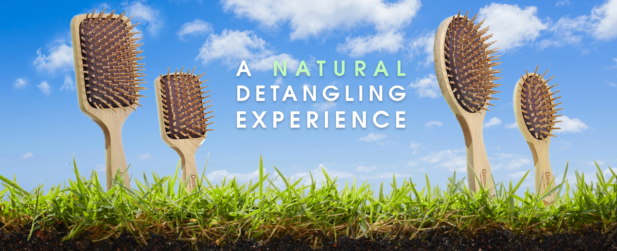 Amazon.com: Giorgio Hair Brushes & Combs: Natural Collection