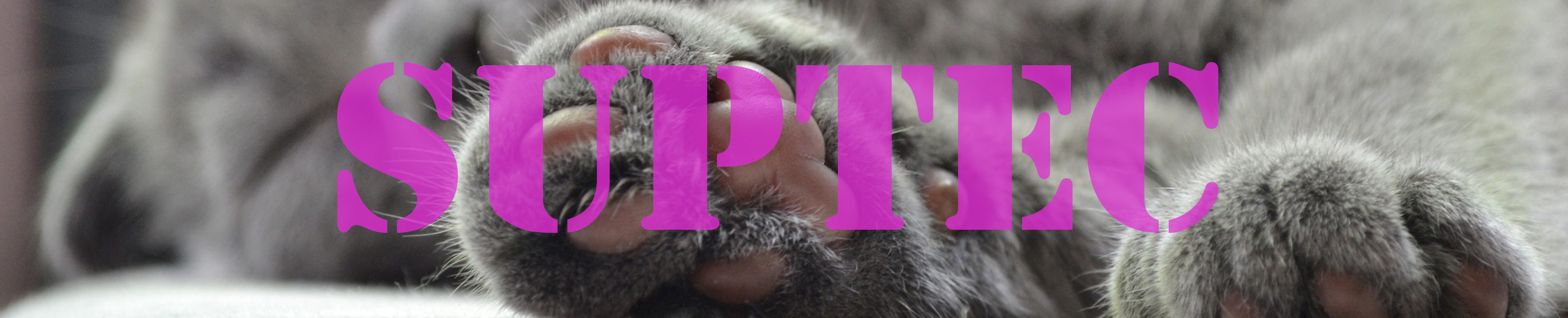 Amazon.com: SUPTEC®