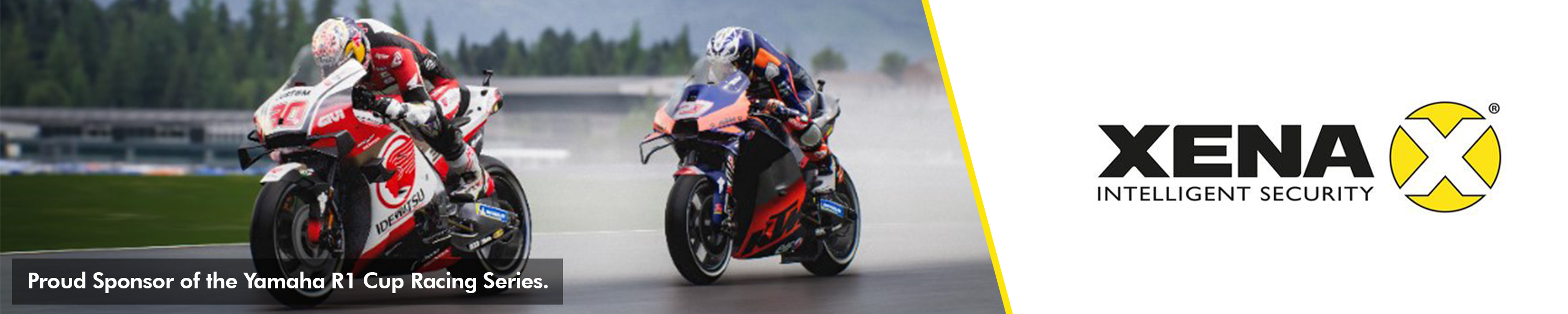 Amazon.com: Xena Intelligent Security X: DISC-LOCKS