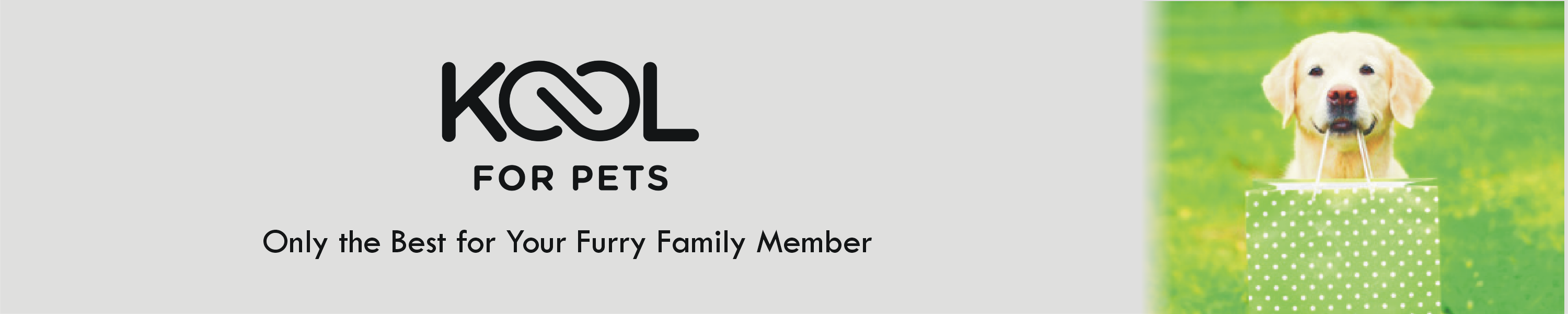 Amazon.com: Kool For Pets: Shop Now