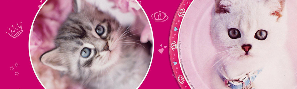 Amazon.com: Birthday Express: Cats