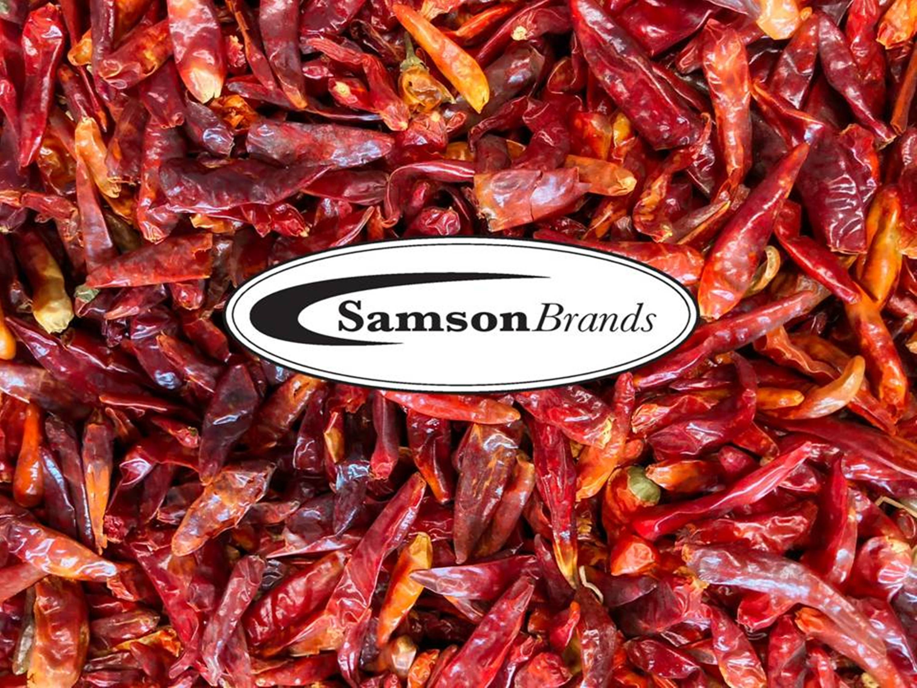 Amazon.com: Samson Brands