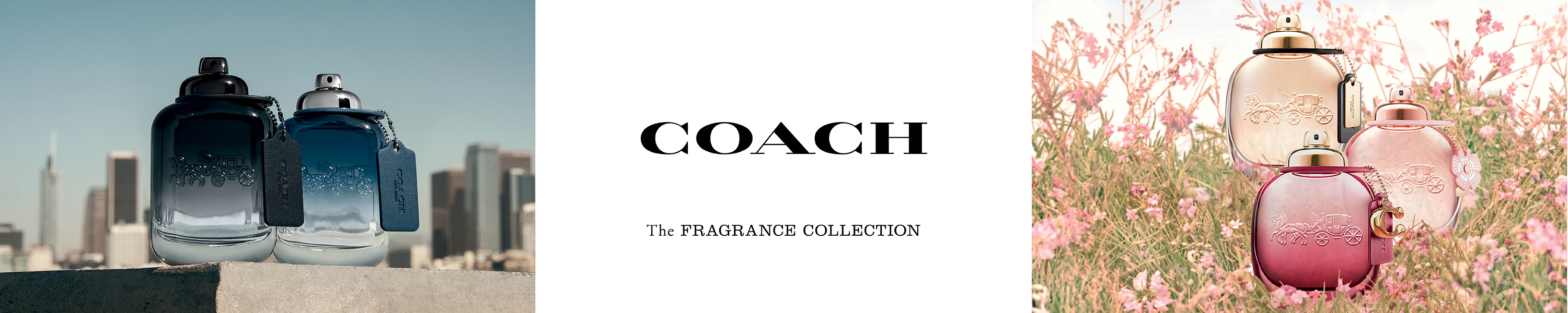 Amazon.com: COACH Fragrance